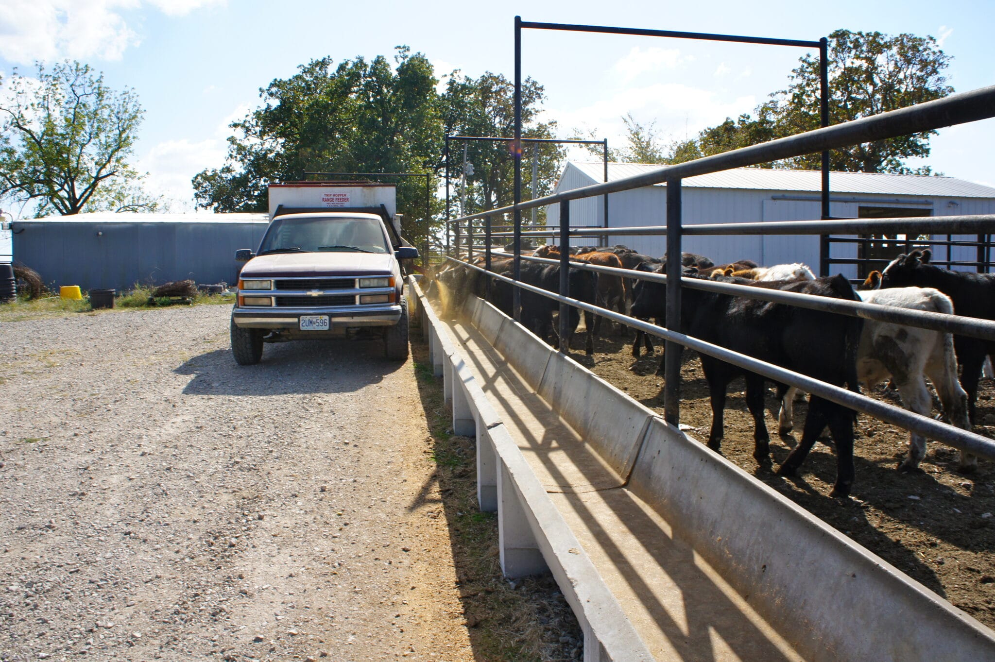 311 Commodities – Delivering Bulk Feed Since 2017